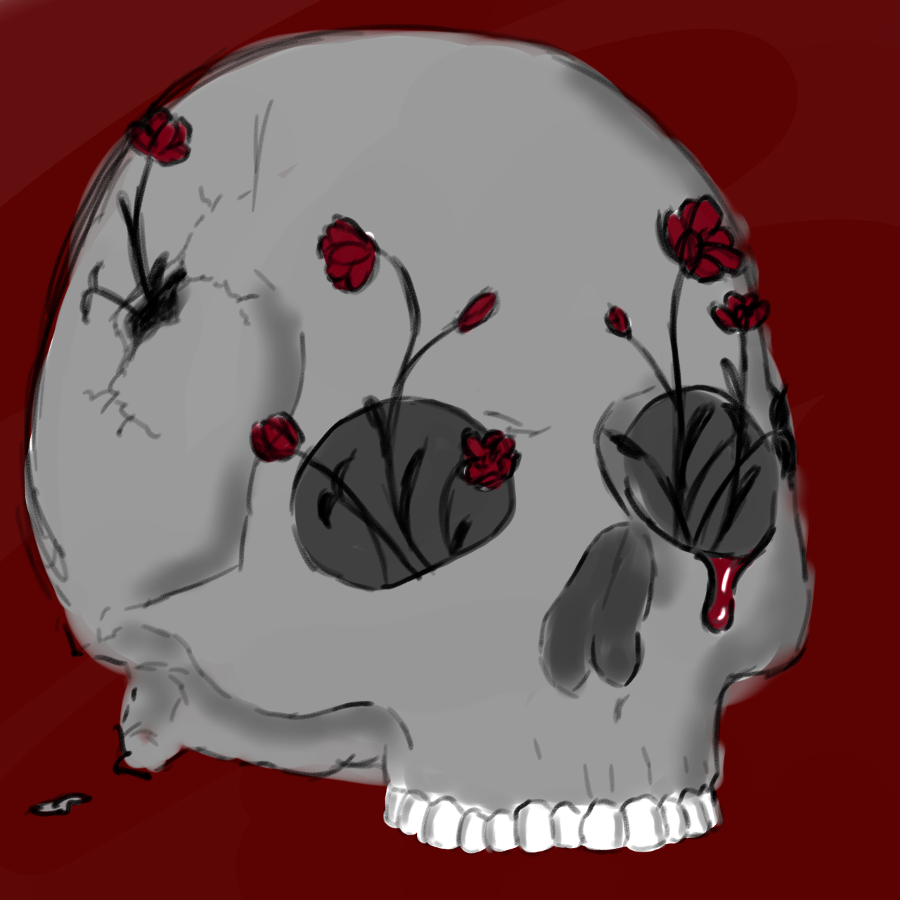 skull - ibisPaint