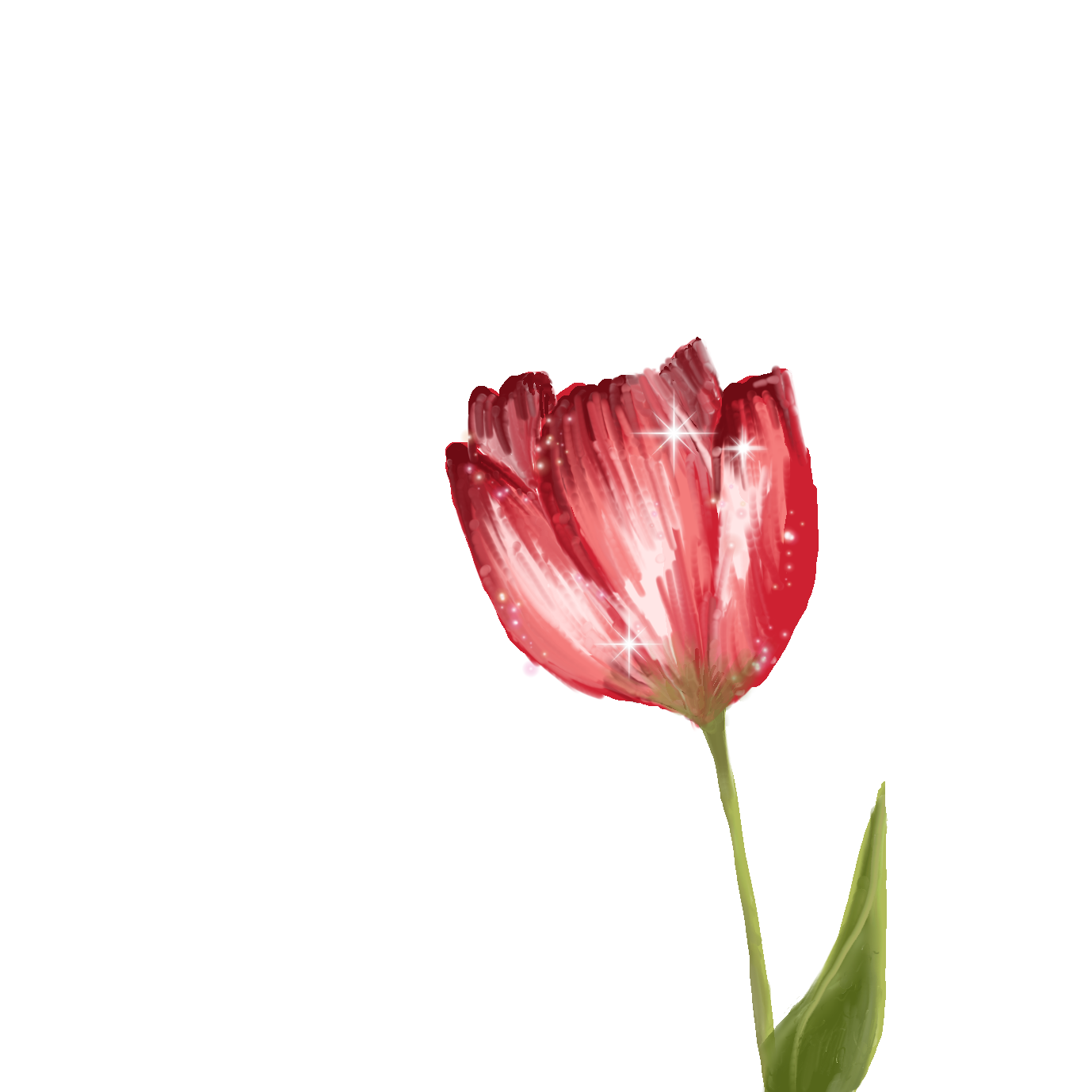 shiny tulip - ibisPaint