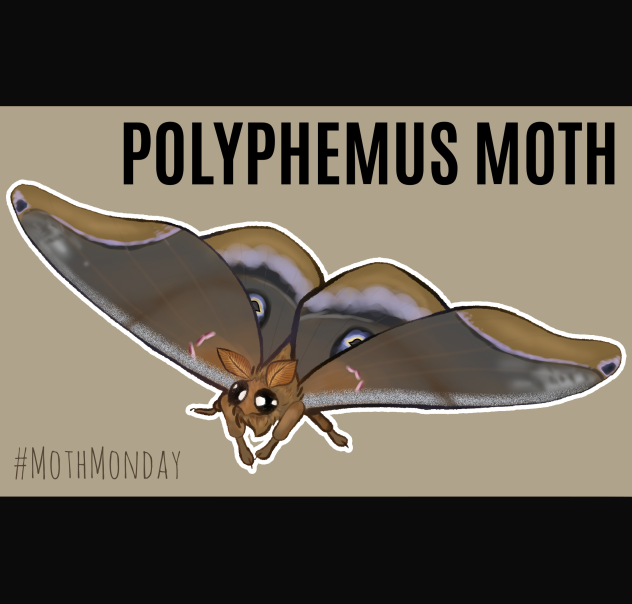 Moth Monday #1 - ibisPaint