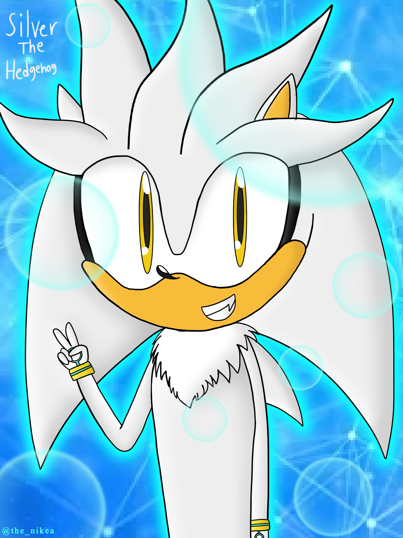 Silver The Hedgehog - ibisPaint
