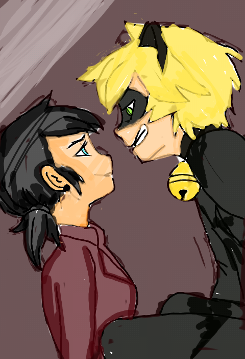 ledybog x chat noir - ibisPaint