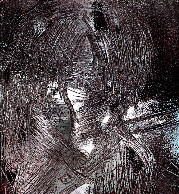 Vecura Ryuga Dream Fever (manga)InMaking - ibisPaint