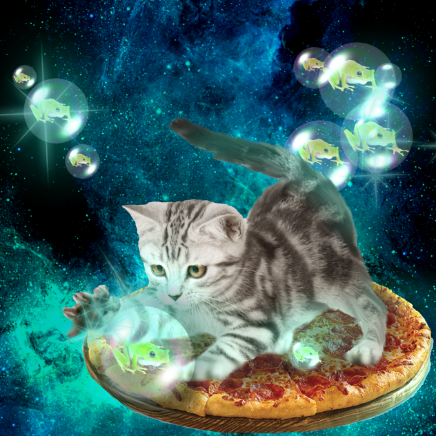 space cat - ibisPaint