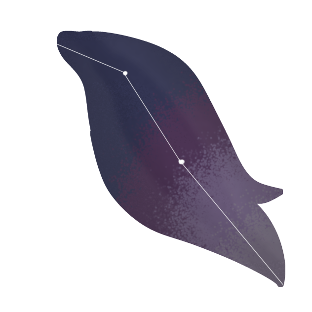 galaxy tail - ibisPaint