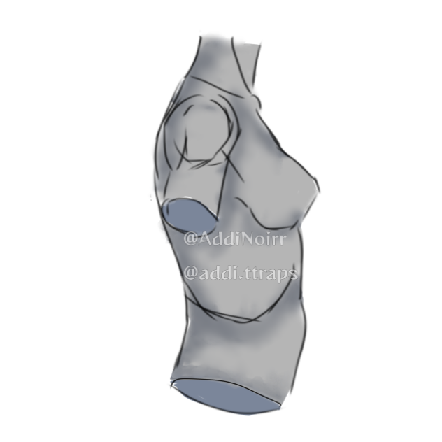 spinning anatomy rough sketch animation - ibisPaint