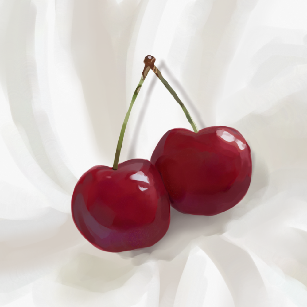cherries - ibisPaint