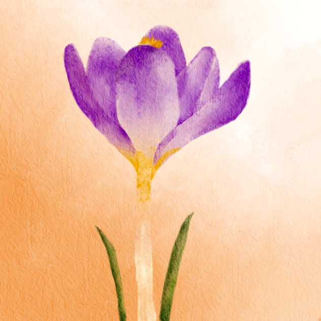 Crocus - ibisPaint