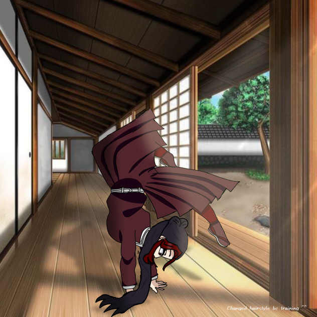 training - ibisPaint