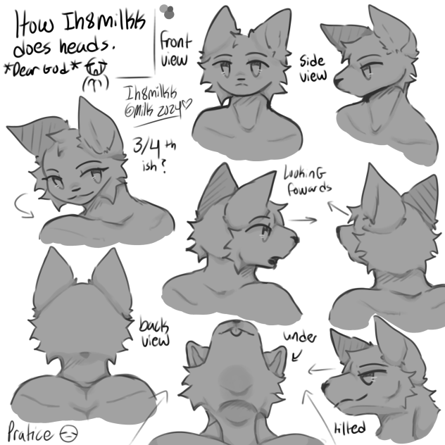 Head reference. - ibisPaint