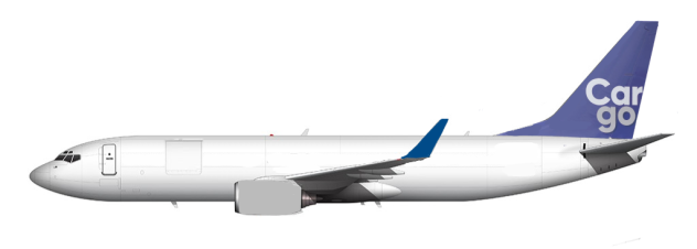 copa cargo 737 - ibisPaint