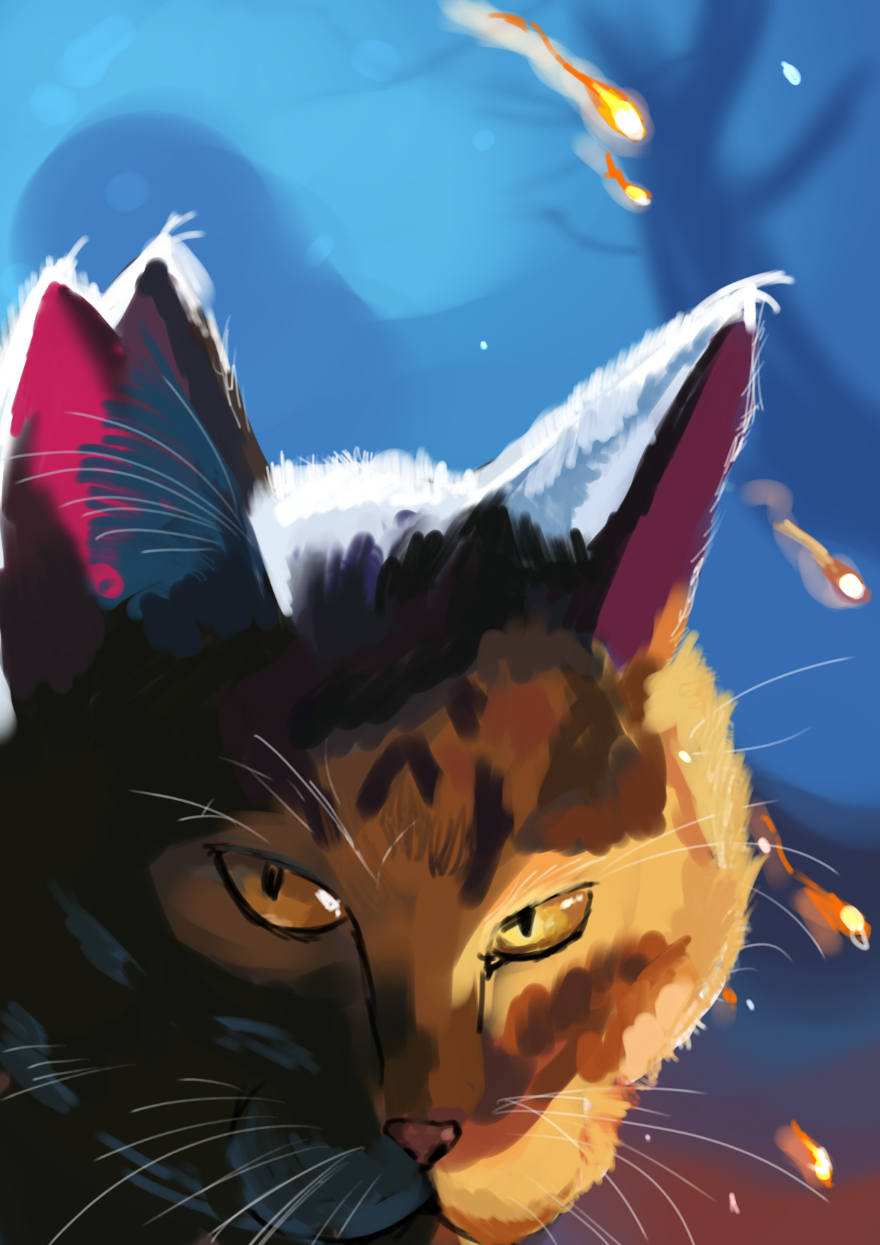 Fire and Ice - ibisPaint