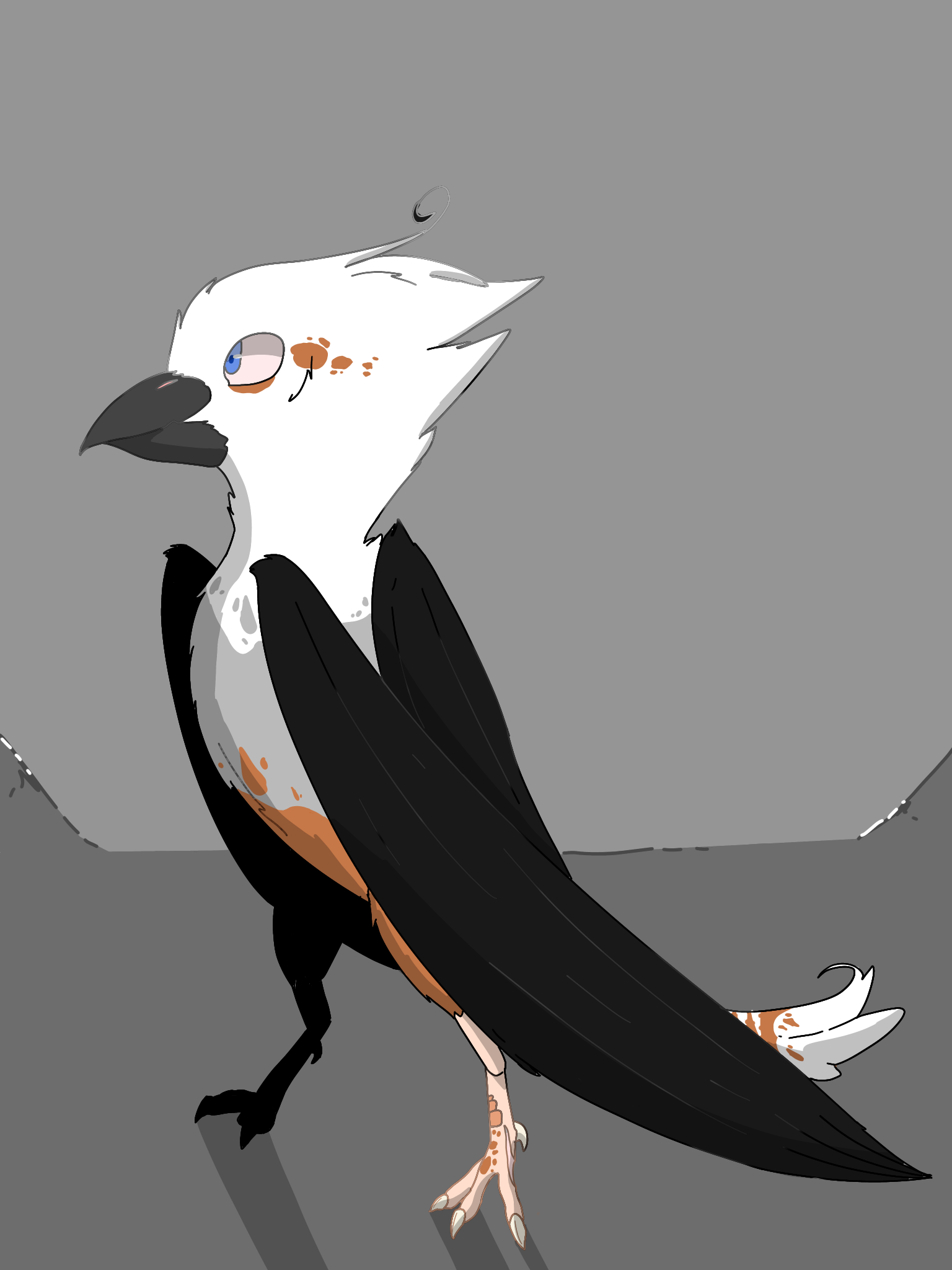 Oc bird au•. - ibisPaint