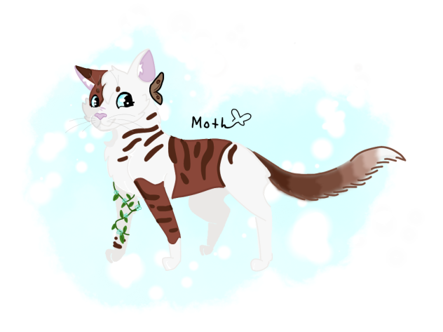 My Warrior cat OC, Moth - ibisPaint