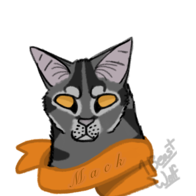 Mack the cat - ibisPaint