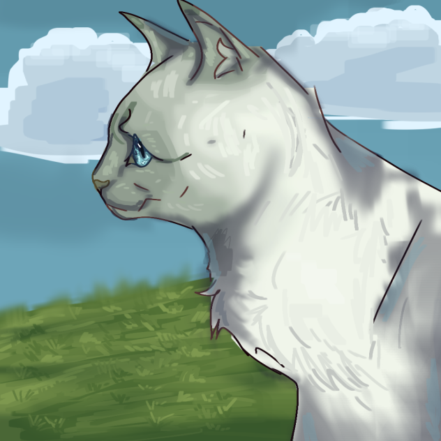 Meadow Skywatcher - ibisPaint