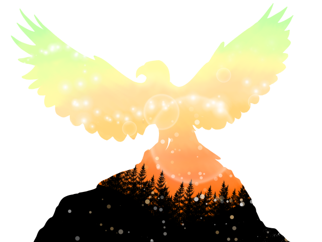Eagle sunset - ibisPaint