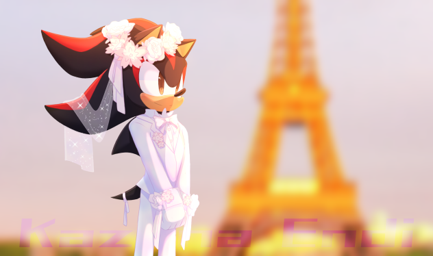 marriage - ibisPaint