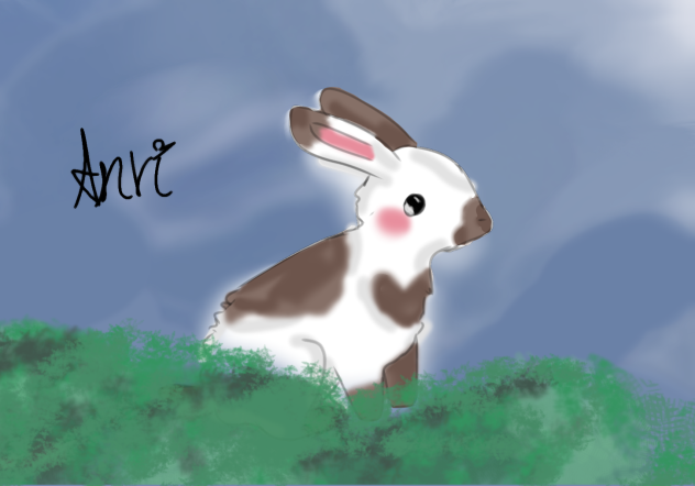 bunny - ibisPaint
