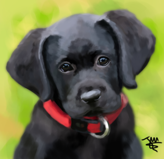 REDRAWING MY FIRST DOG PAINTING! - ibisPaint