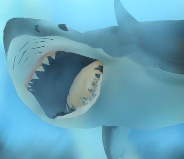 Shark - ibisPaint