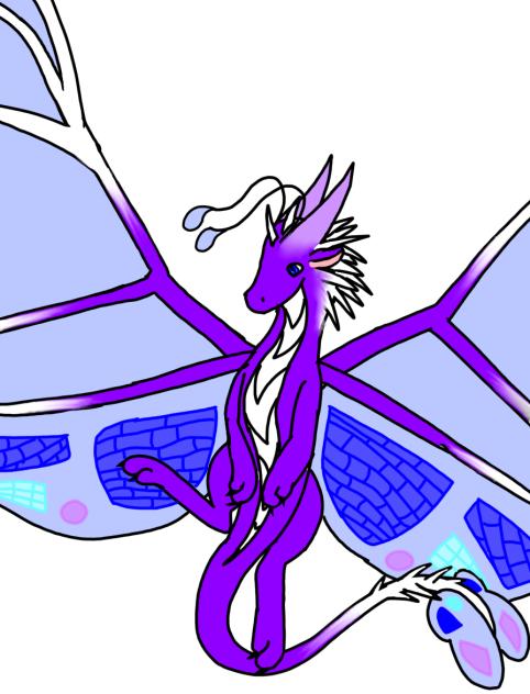 Gazania remake - ibisPaint