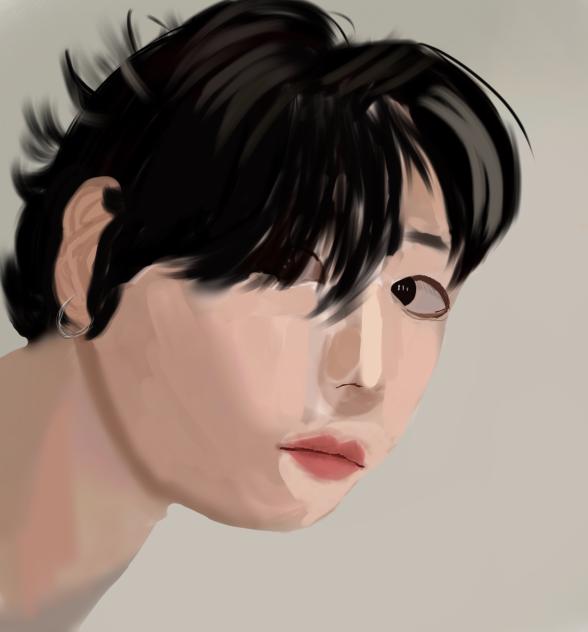 hamster han - ibisPaint