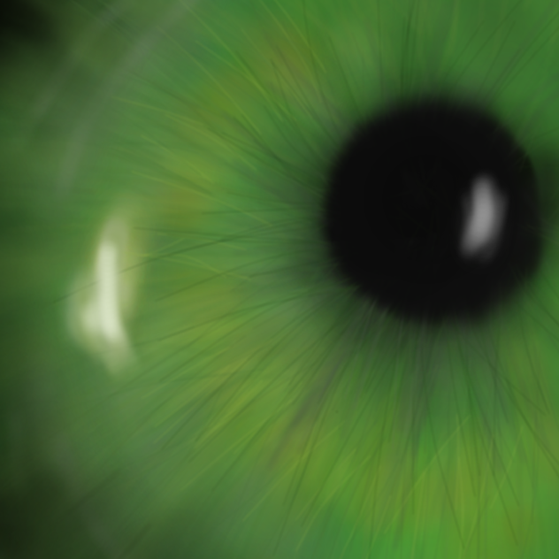 green eyes - ibisPaint