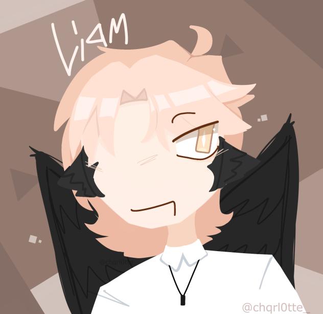 Liam - ibisPaint