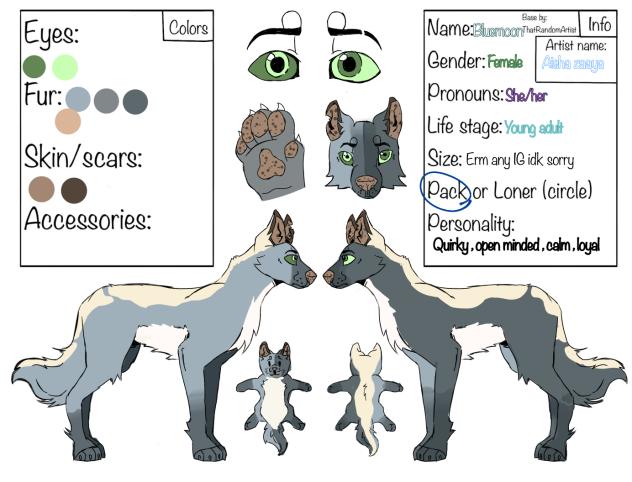 CS for ThatRandomArtist - ibisPaint