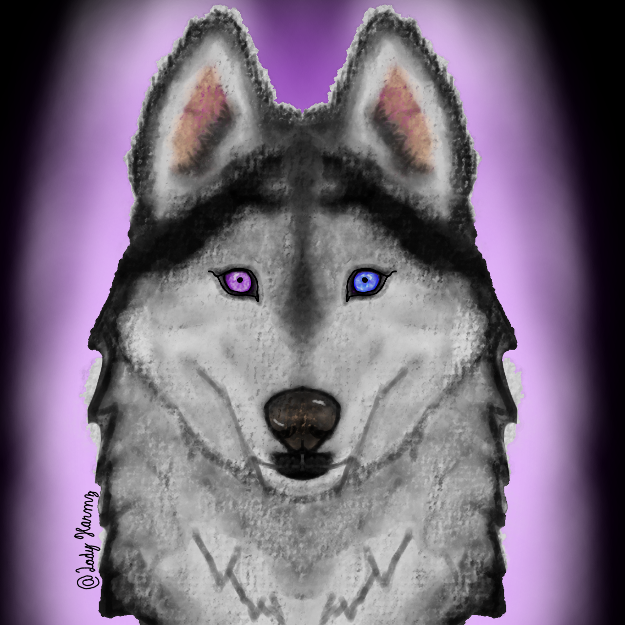 Speedy Husky - ibisPaint