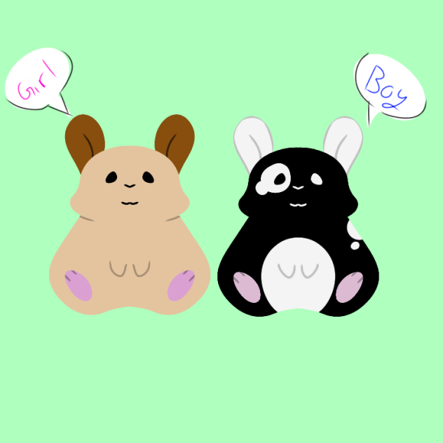 hamster ref - ibisPaint