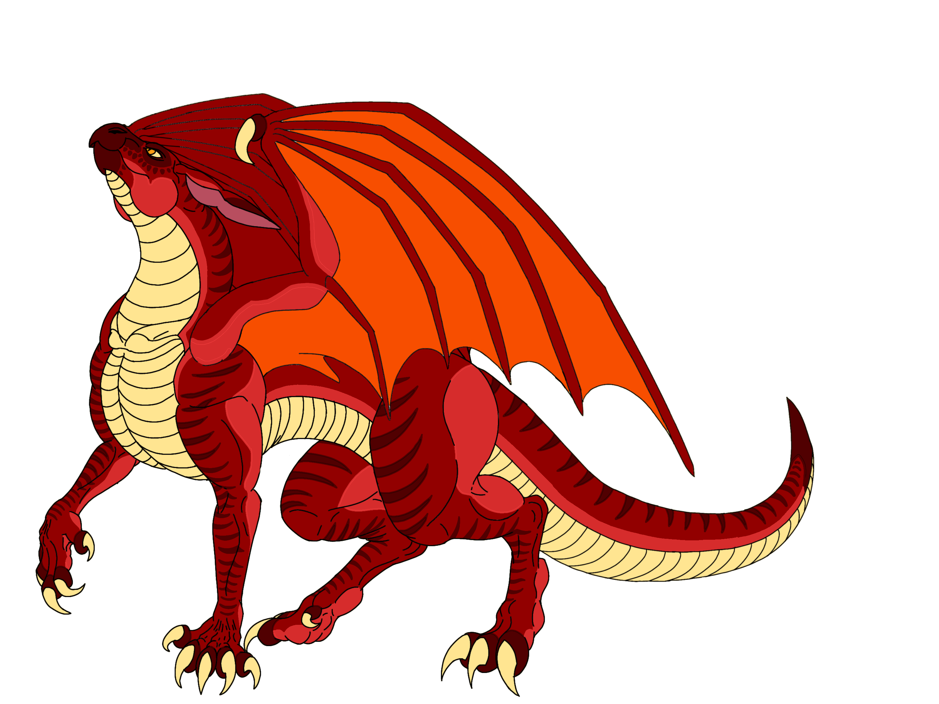 Female Dragon Sexual Dimorphism Study - ibisPaint