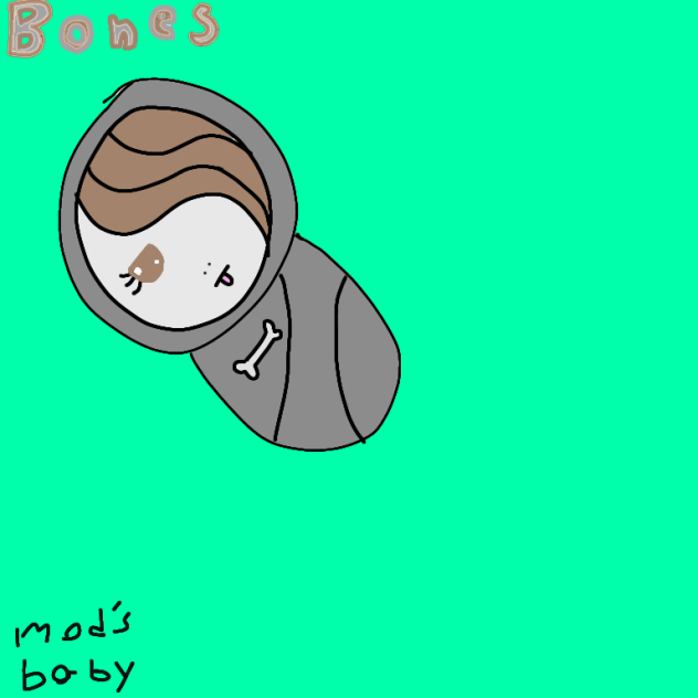 Bones - ibisPaint