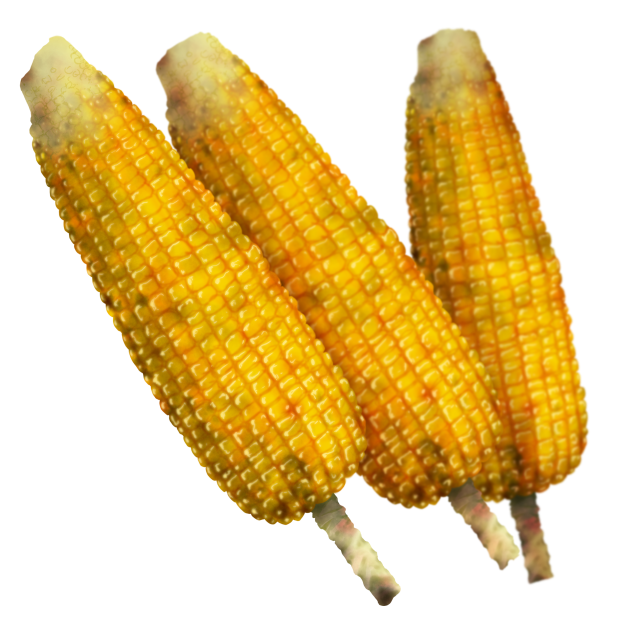 the corn burn - ibisPaint