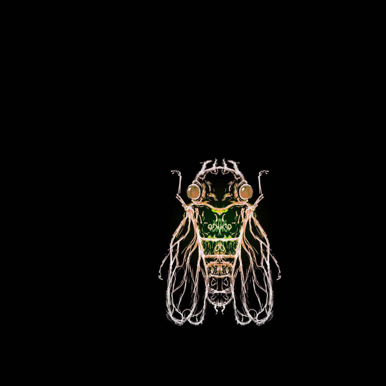 Cicada Doodle - ibisPaint