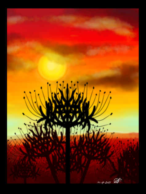 Spider Lily Sunset - ibisPaint
