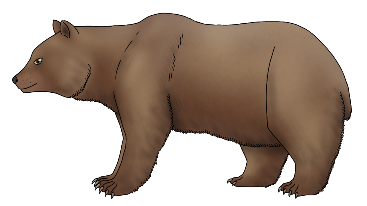 Alaskan Peninsula Brown Bear render - ibisPaint