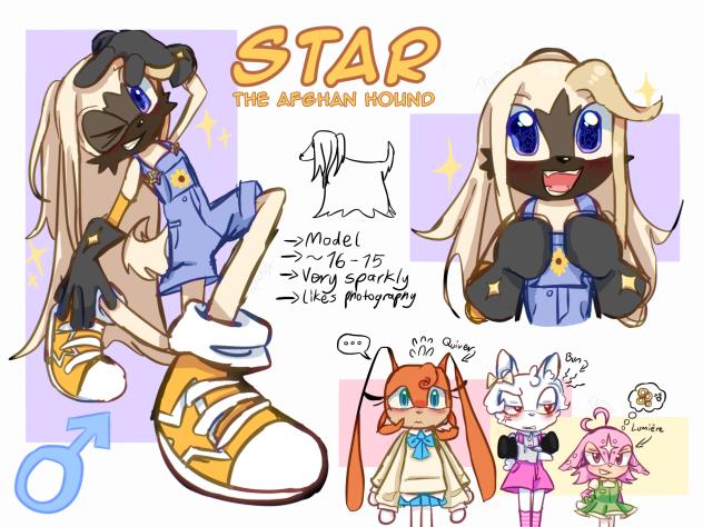 Redraw of Star the Afghan Hound! - ibisPaint