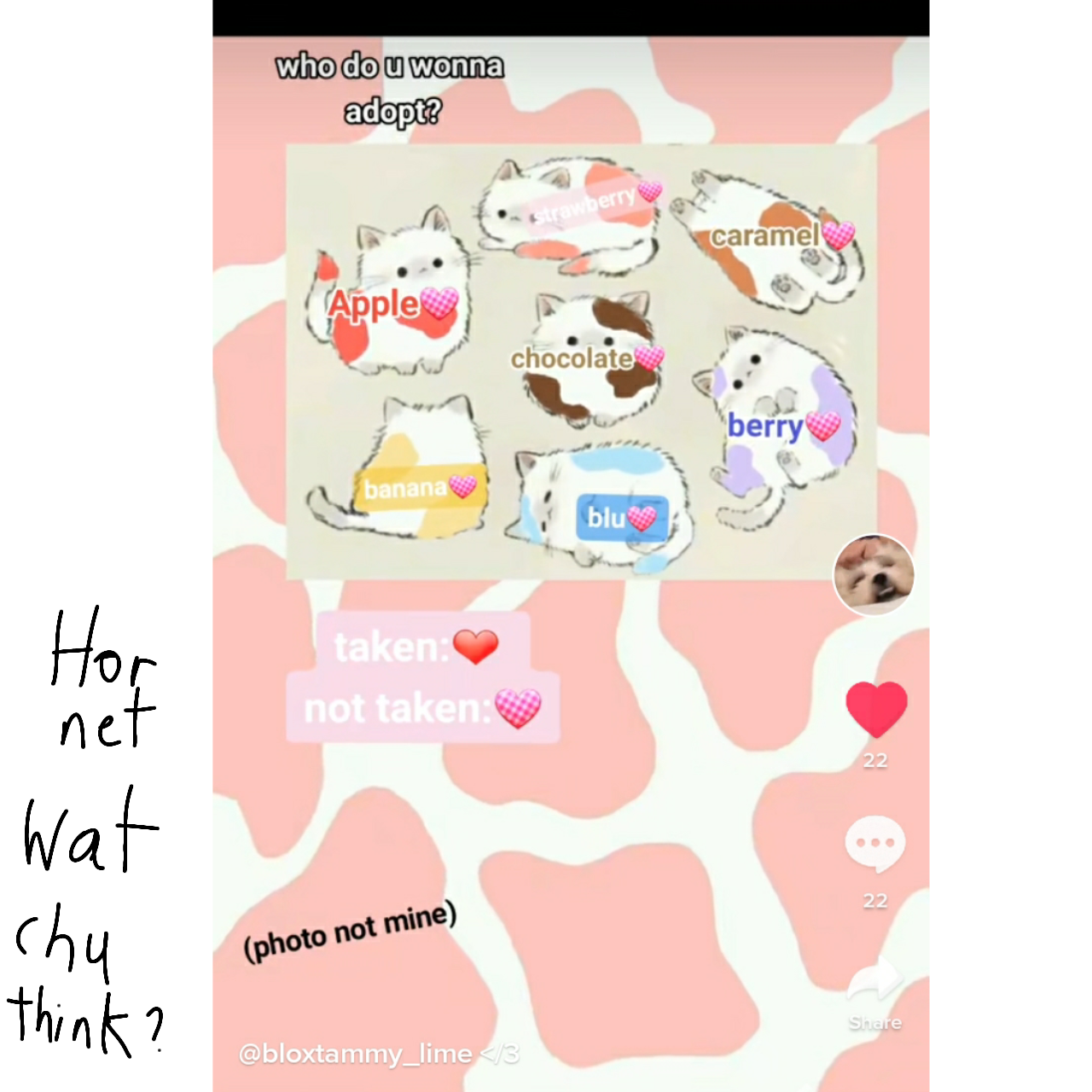 cat adoption thingy - ibisPaint