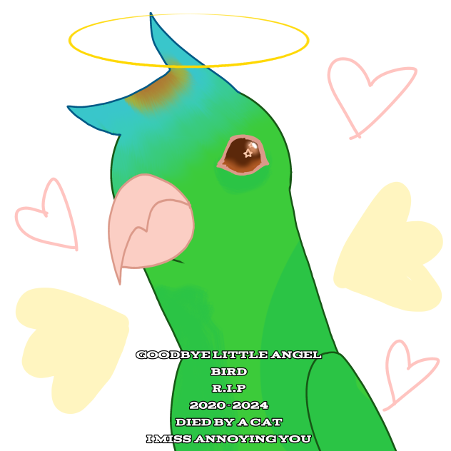My birb died today - ibisPaint