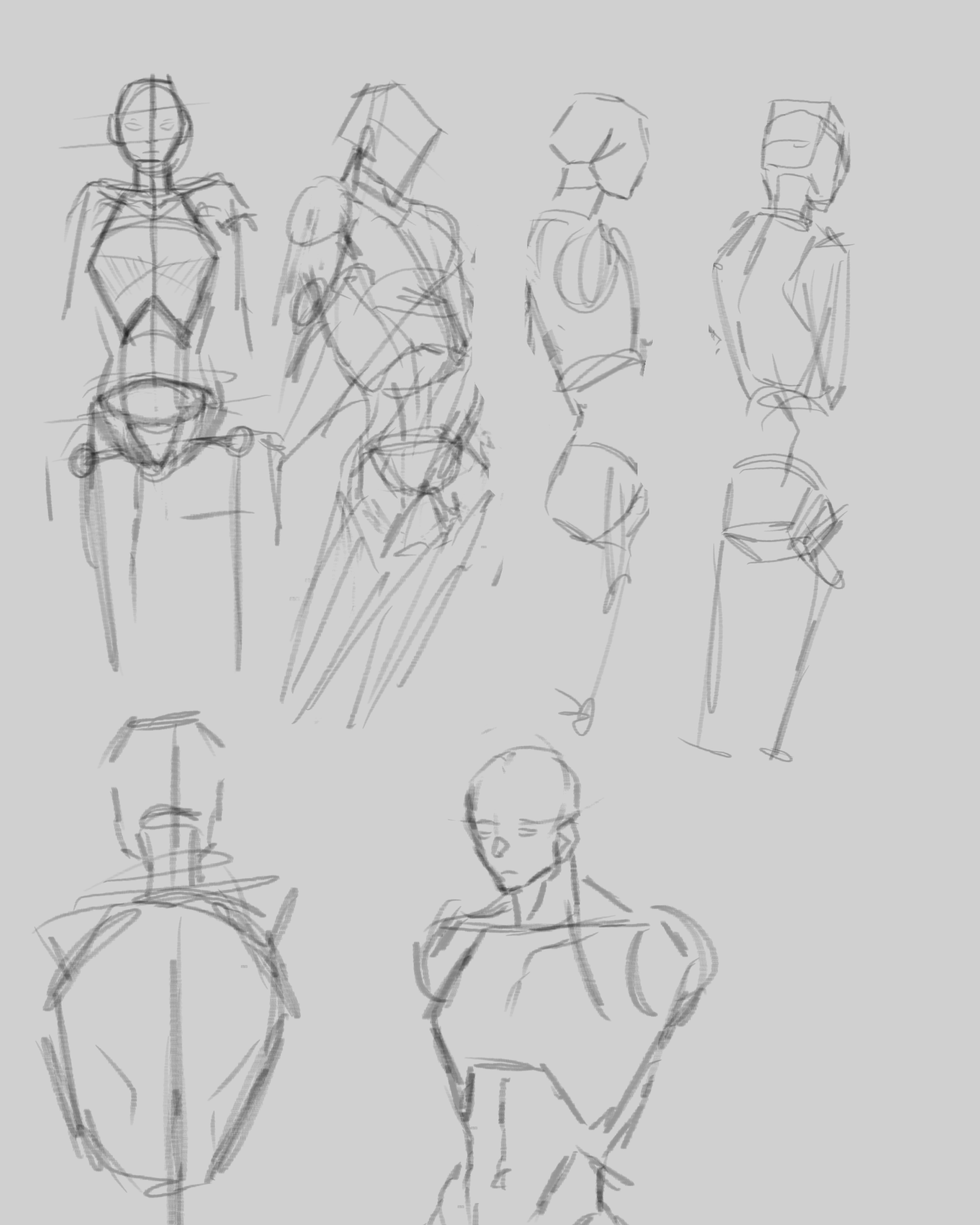 Anatomy day 6 - ibisPaint