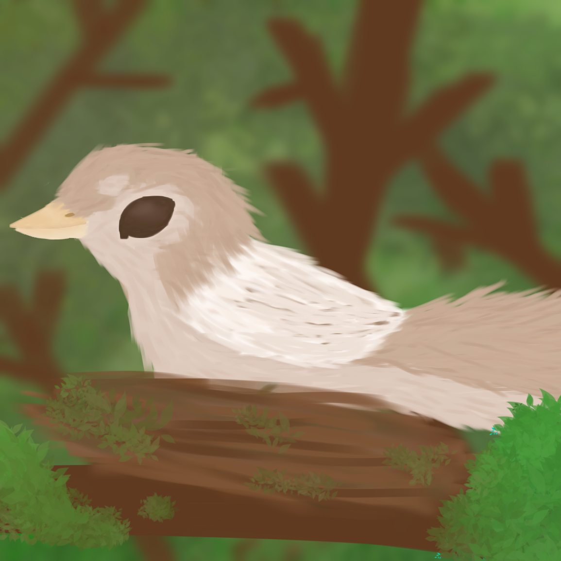 Bird - ibisPaint