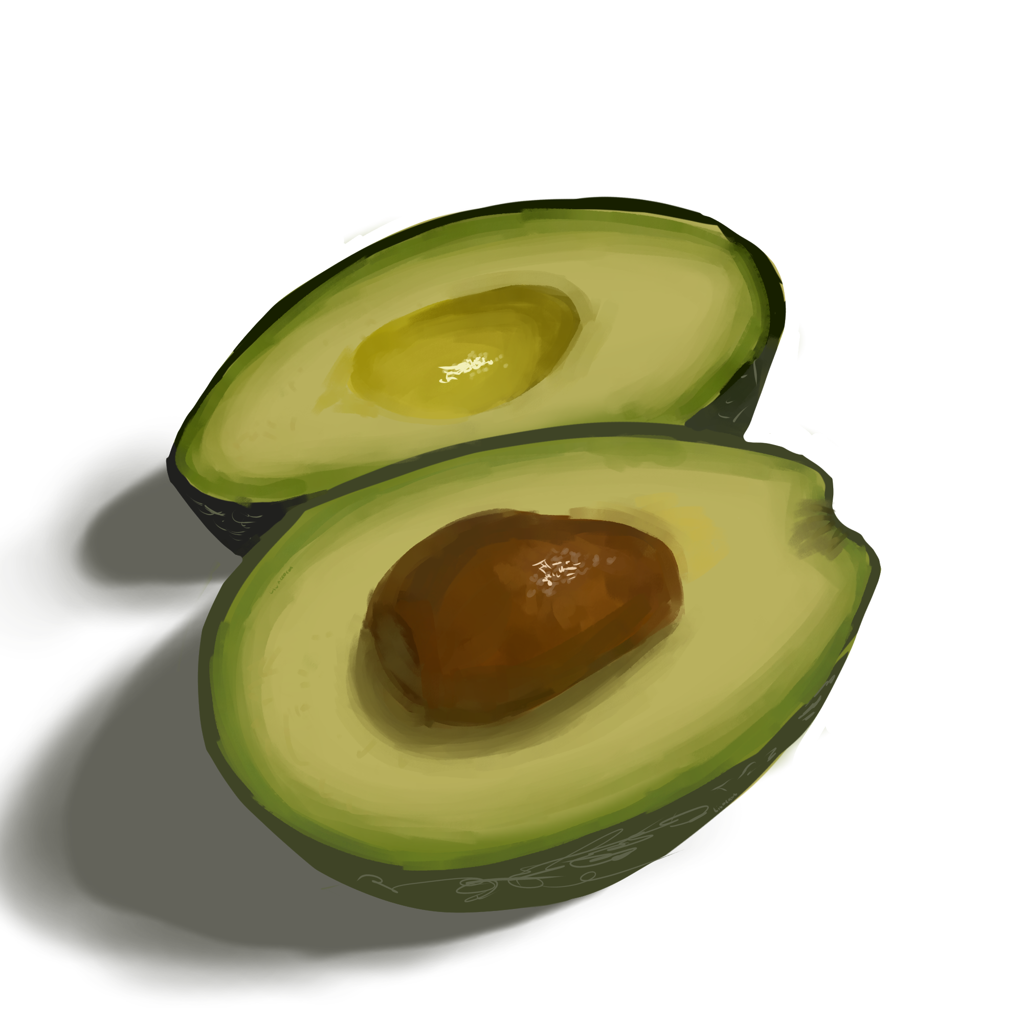 Avocado - ibisPaint