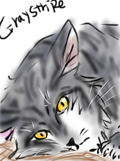 graystripe - ibisPaint