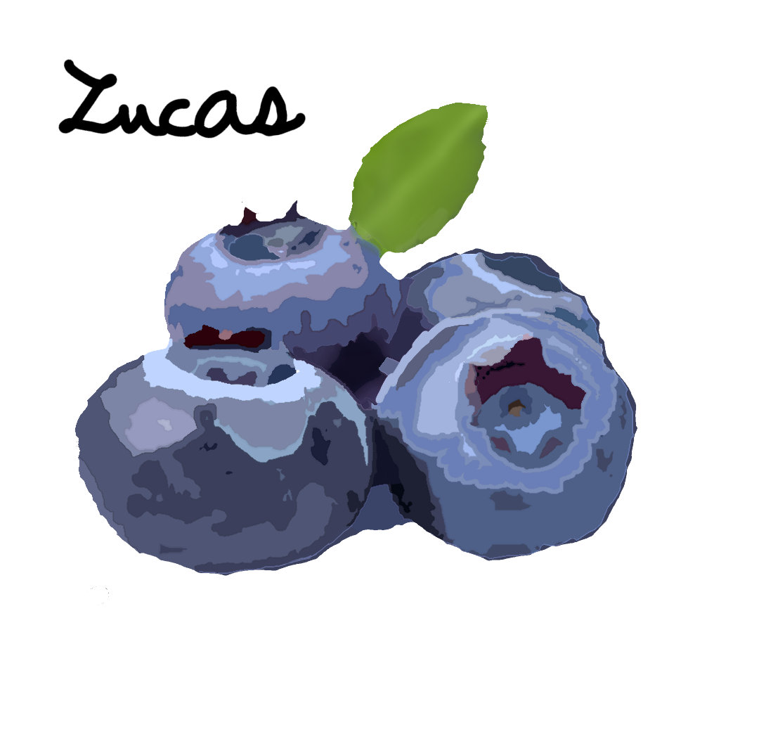 blueberries 🌱 - ibisPaint