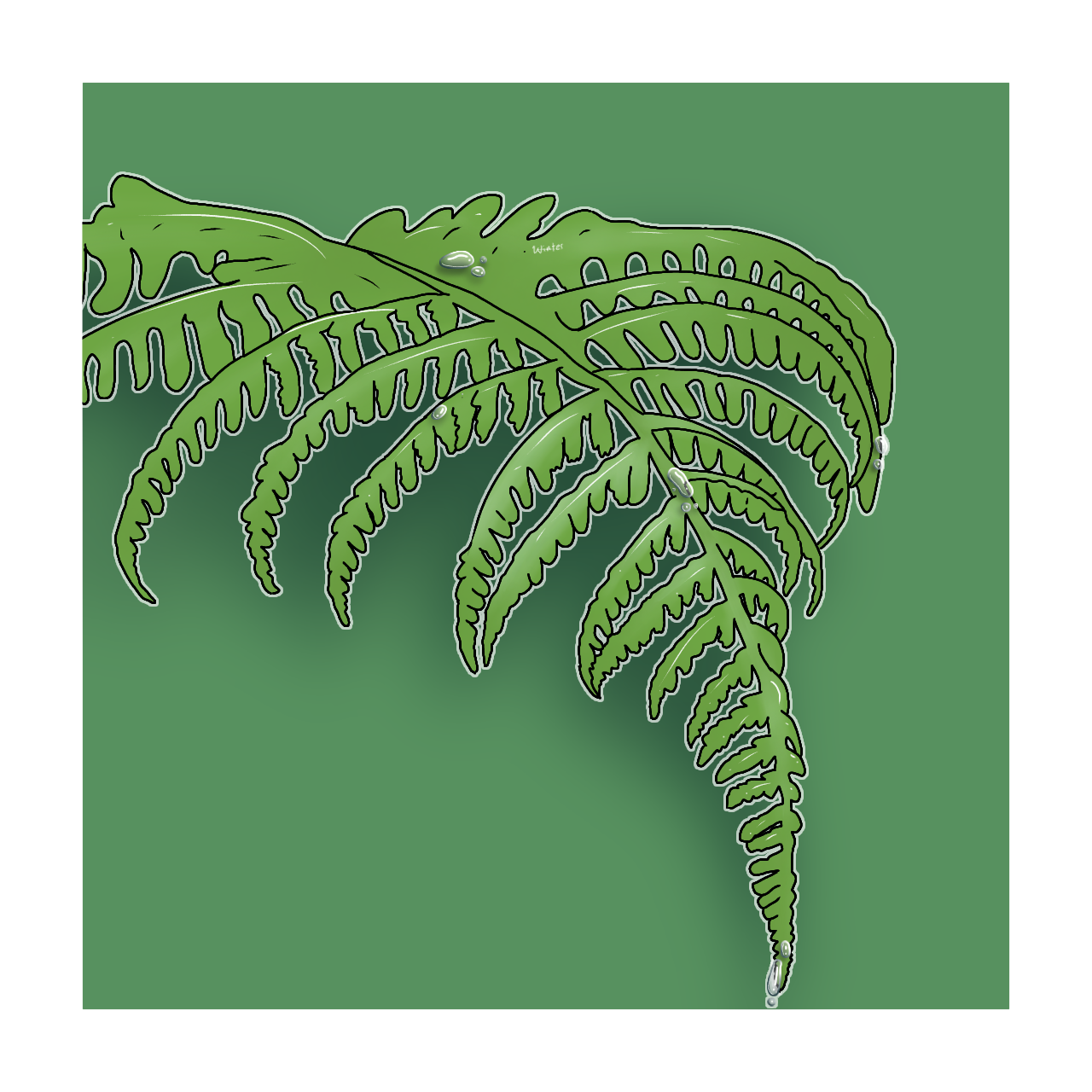 Dewy Fern - ibisPaint