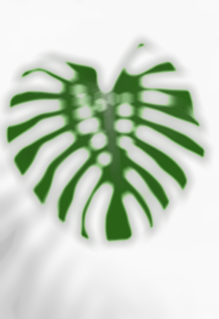 Monstera - ibisPaint