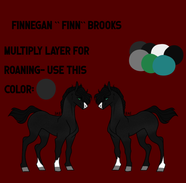 Finnegan `` Finn `` Brooks Reference - ibisPaint