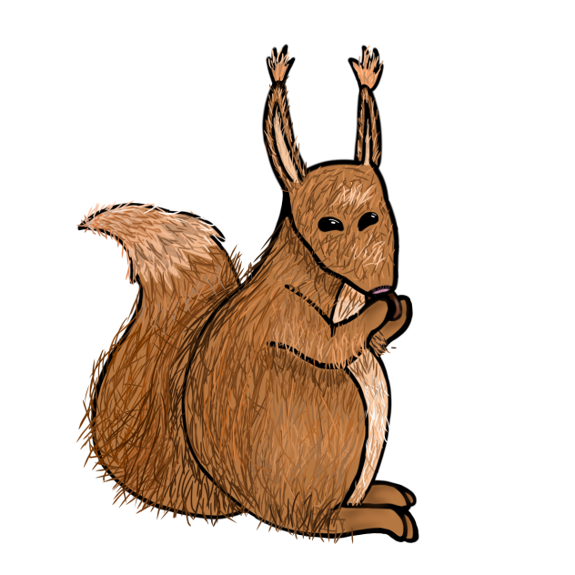 Squirrel - ibisPaint