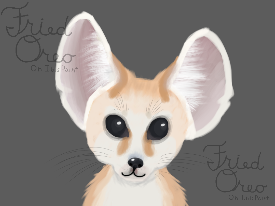 Fennec Fox Realism - ibisPaint